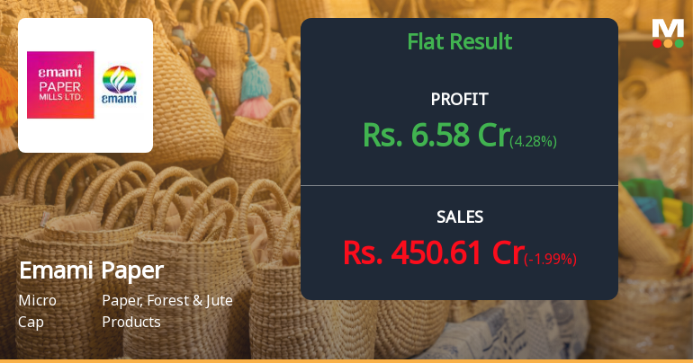 Emami Paper Mills Q2 FY26: Profit Drops 13% as Margin Pressures Persist