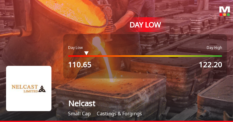 Nelcast Ltd. Hits Day Low of Rs 110.65 Amid Price Pressure