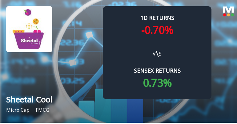 Sheetal Cool Products Ltd Faces Selling Pressure with 26.09% Year-to-Date Loss and Declining ...