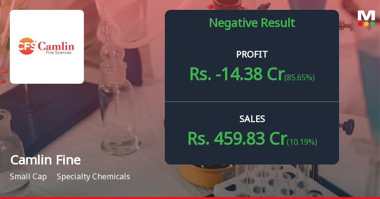 Camlin Fine Sciences Q2 FY26: Persistent Losses Deepen De...