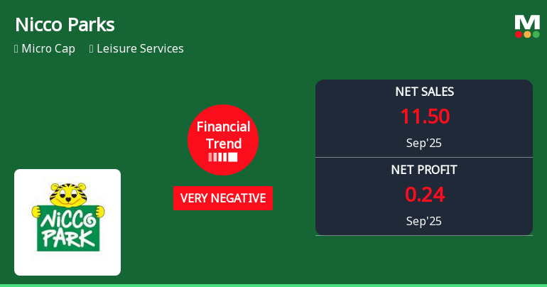 Nicco Parks Faces Financial Challenges Amidst Strong Cash Management ...