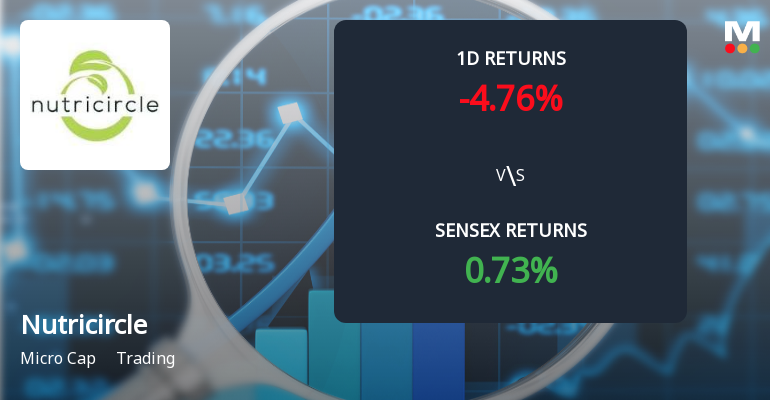 Nutricircle Ltd Faces Selling Pressure as Stock Declines 4.76%, Marking ...
