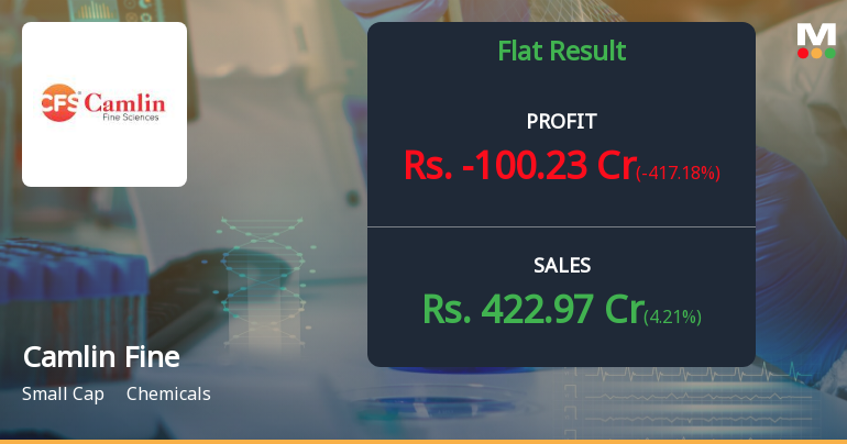 Camlin Fine Sciences Reports Mixed Financial Results Amid Rising ...
