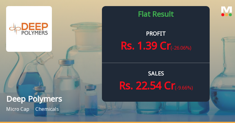 Deep Polymers Reports Declining Sales and Operating Profit in December 2024 Results