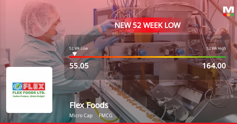 Flex Foods Hits 52-Week Low Amidst Market Volatility and Sector Resilience