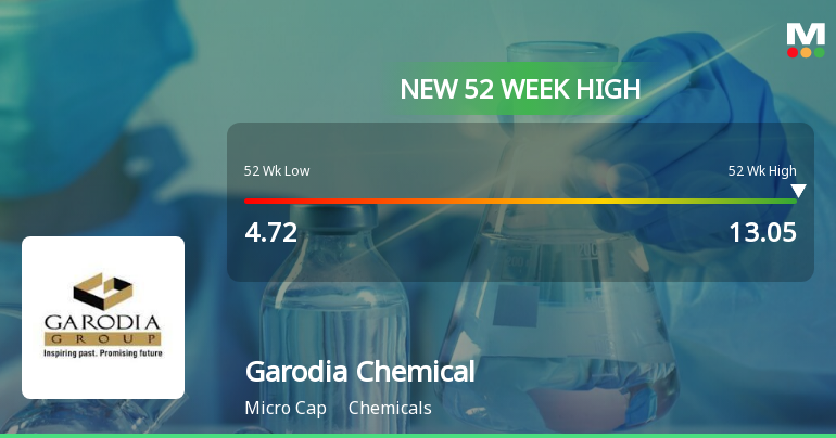 Garodia Chemical Reaches 52-Week High Amidst Strong Yearl...