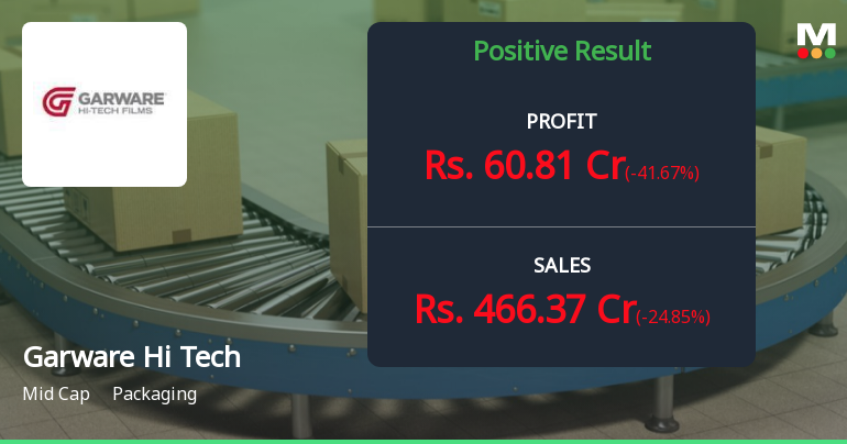 Garware Hi Tech Films Reports Mixed Financial Results for December Quarter