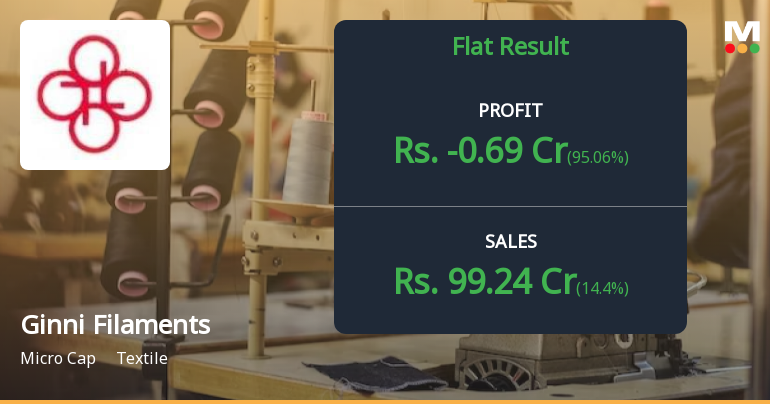 Ginni Filaments Reports Flat Q3 FY24-25 Results Amid Mixed Financial Trends
