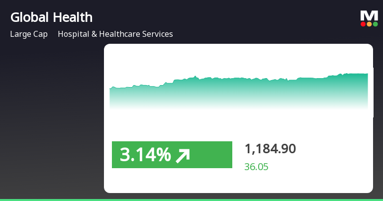 Global Health Stock Shows Resilience Amid Market Fluctuations and ...