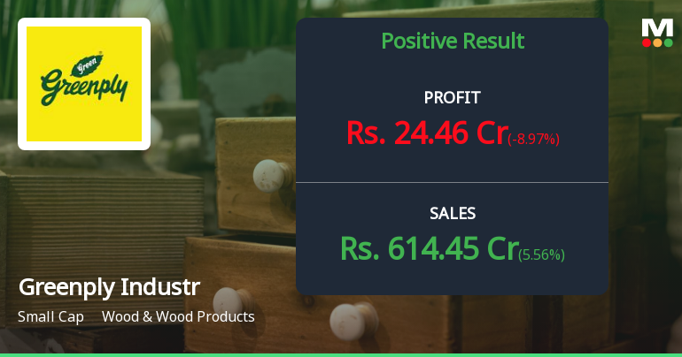 Greenply Industries Reports Strong Q3 Growth, Highlights ...