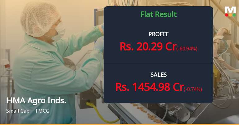 HMA Agro Industries Reports Mixed Q4 Results Amidst Strong Sales Growth ...