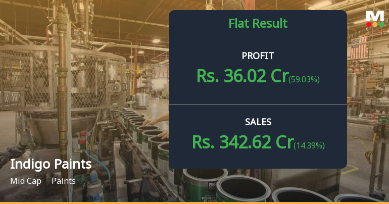 Indigo Paints Reports Stable Q3 FY24-25 Results, Highligh...