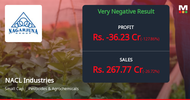 NACL Industries Reports Financial Results, Highlights Cha...