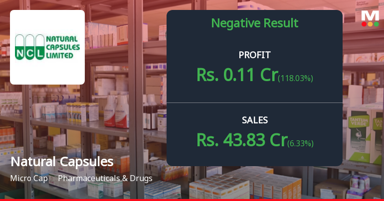 Natural Capsules Reports December 2024 Results: Mixed Signals on ...