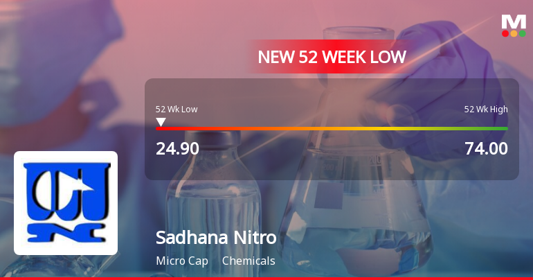 Sadhana Nitro Chem Faces Persistent Challenges Amidst Sector ...