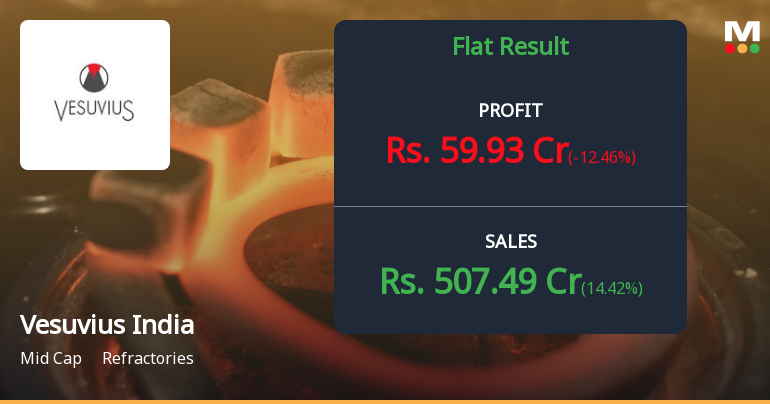 Vesuvius India Reports Stable Sales Amid Declining Profitability in ...