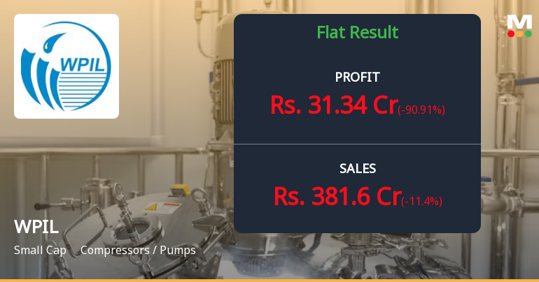 WPIL Reports Mixed Financial Results for December 2024, Highlighting ...