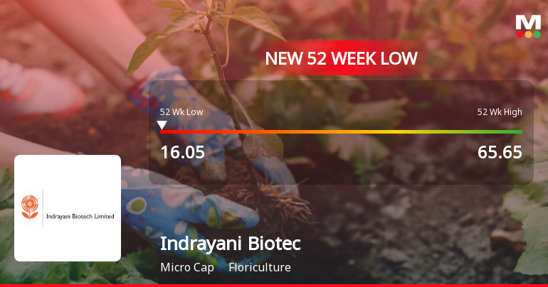 Indrayani Biotech Faces Severe Financial Challenges Amids...