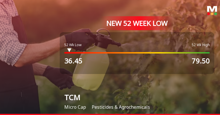 Microcap TCM Faces Financial Struggles Amid Broader Market Volatility and Declining Sales