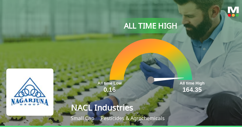 NACL Industries Reaches All-Time High, Signaling Strong G...