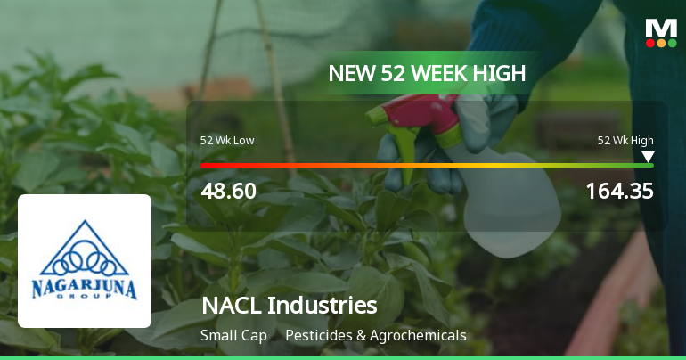 NACL Industries Achieves 52-Week High Amid Strong Market ...
