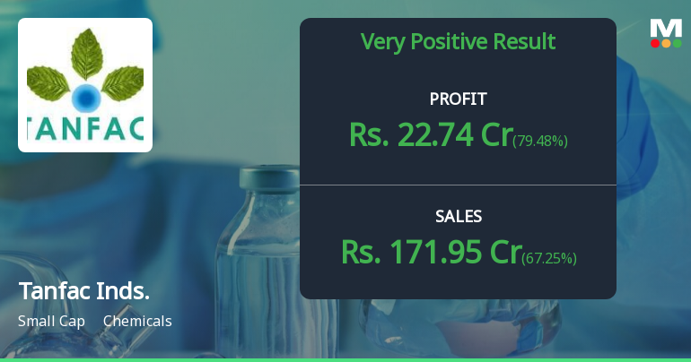 Tanfac Industries Reports Strong Year-on-Year Growth in Financial ...