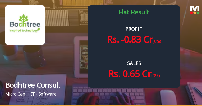 Bodhtree Consulting Reports Significant Financial Challenges in May 2025 Results