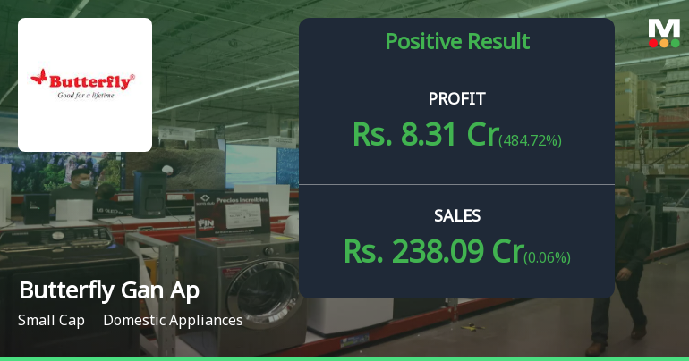 Butterfly Gandhimathi Appliances Reports Strong Profit Growth Amid Non ...