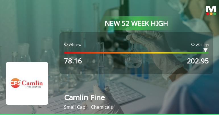 Camlin Fine Sciences Reaches New High, Signaling Strength in Specialty ...