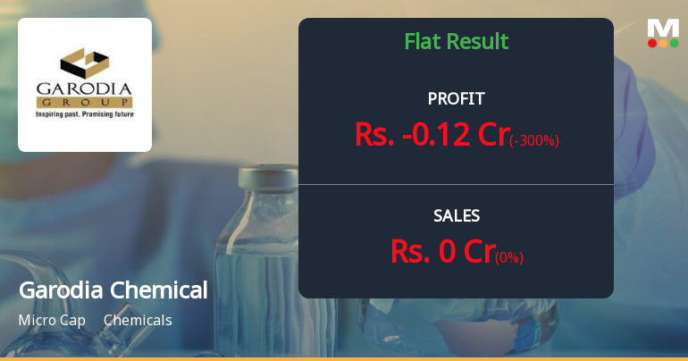 Garodia Chemical Reports Declining Profitability Amid Ongoing Financial ...