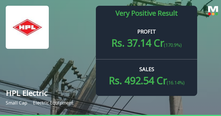 HPL Electric & Power Reports Strong Financial Growth and Operational ...