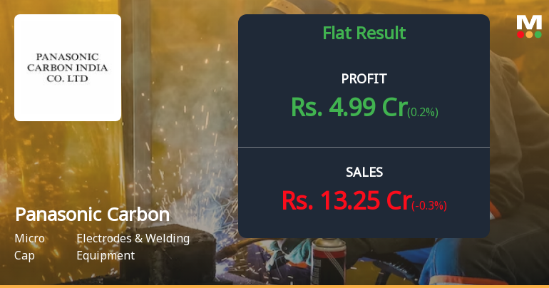 Panasonic Carbon India Reports Declining Sales and Operational ...