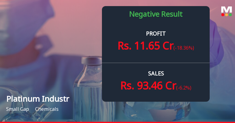 Platinum Industries Reports Mixed Financial Results Amidst Sales Growth ...