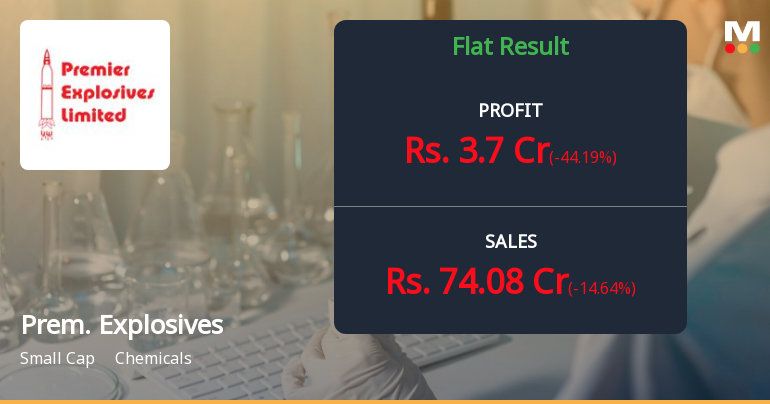 Premier Explosives Reports Mixed Financial Results Amid Declining Key ...