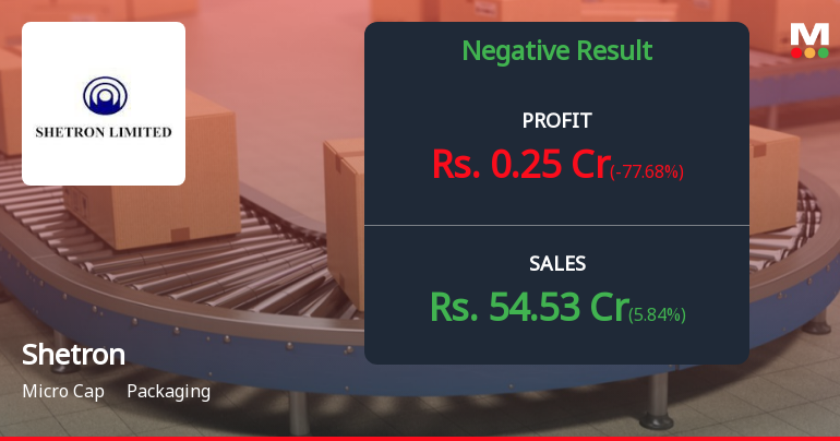 Shetron Reports Declining Financial Metrics, Raising Concerns Over ...