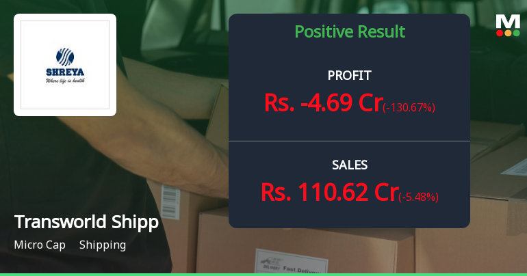 Transworld Shipping Lines Reports Mixed Financial Results Amid Strong ...