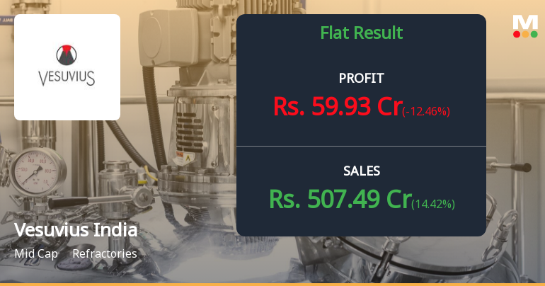 Vesuvius India Reports Mixed Financial Results Amidst Operational ...
