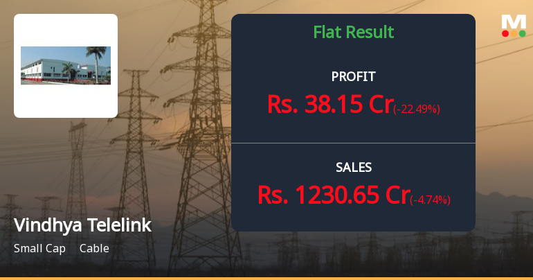Vindhya Telelinks Reports Strong Profit Growth Amid Rising Interest Expenses in May 2025