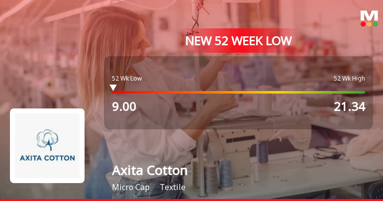 Axita Cotton Hits 52-Week Low Amid Declining Sales and Profitability ...