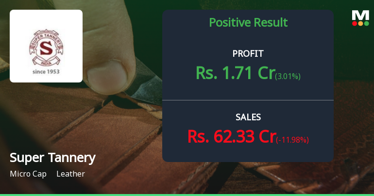 Super Tannery Reports Strong Financial Growth Amid Rising Interest Expenses in March 2025