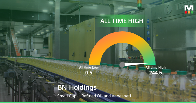 BN Holdings Reaches All-Time High, Signaling Strong Market Momentum and Performance