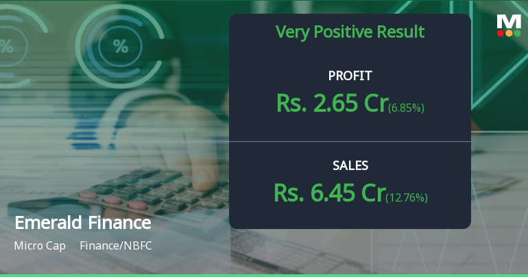 Emerald Finance Reports Strong Financial Growth and Impro...