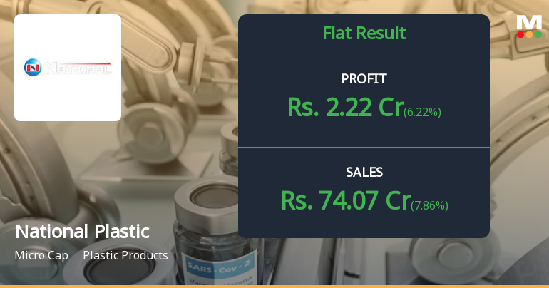 National Plastic Technologies Reports Stable Financial Pe...