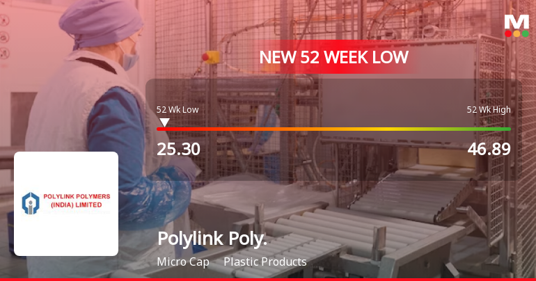 Polylink Polymers Faces Ongoing Market Challenges Amidst ...