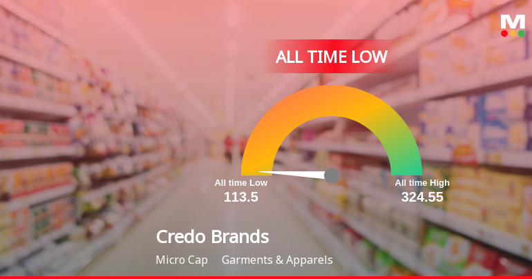 Credo Brands Stock Hits All-Time Low Amidst Significant V...