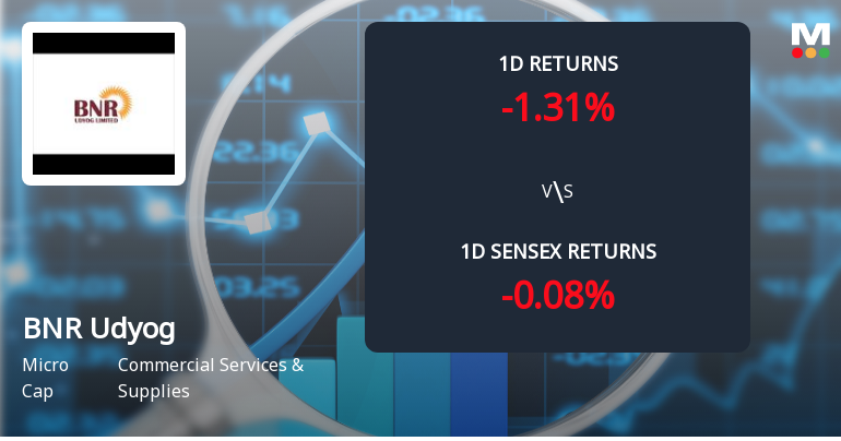 BNR Udyog Ltd Faces 15.48% Monthly Decline Despite 157.55...
