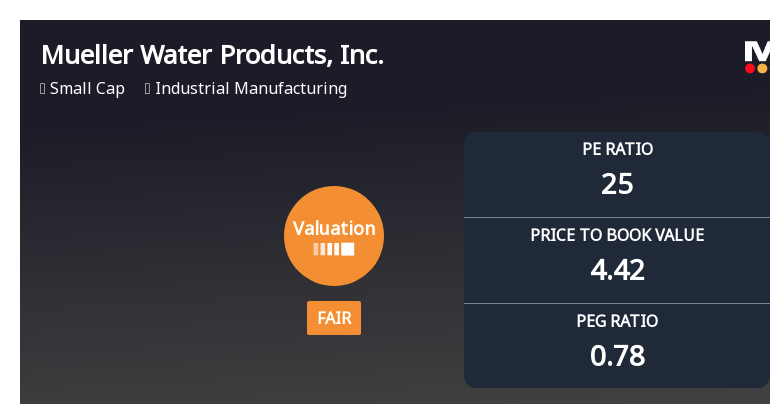 Mueller Water Products Experiences Valuation Adjustment A...