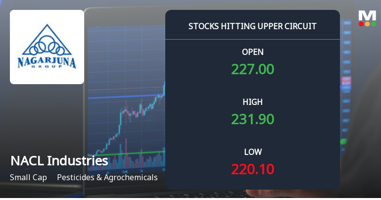 NACL Industries Stock Hits Upper Circuit Limit with Intra...