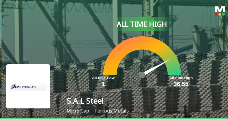 S.A.L Steel Reaches All-Time High Amidst Notable Growth Trends in ...
