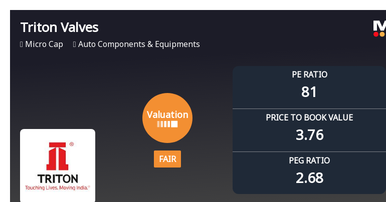 Triton Valves Adjusts Valuation Amid Strong Stock Perform...